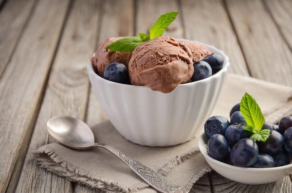 20/20 Chocolate Protein Ice Cream - F-Factor